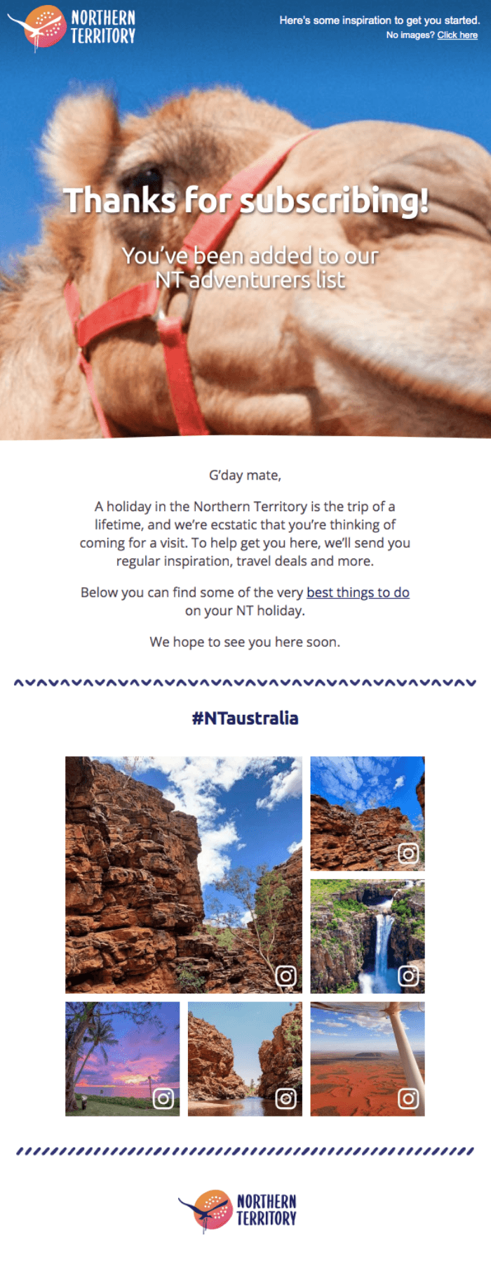 What is User-Generated Content? The Ultimate Guide to UGC | Stackla